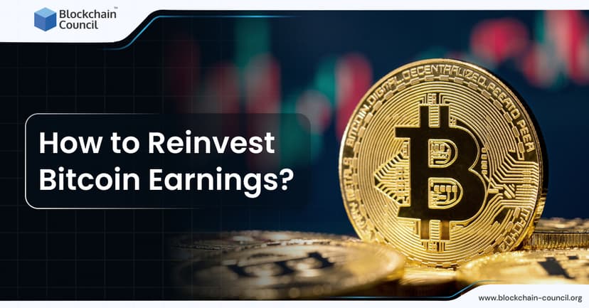 How to Reinvest Bitcoin Earnings? - Blockchain Council