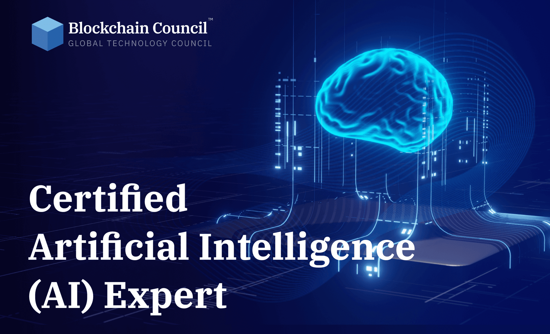 Certified Artificial Intelligence (AI) Expert®