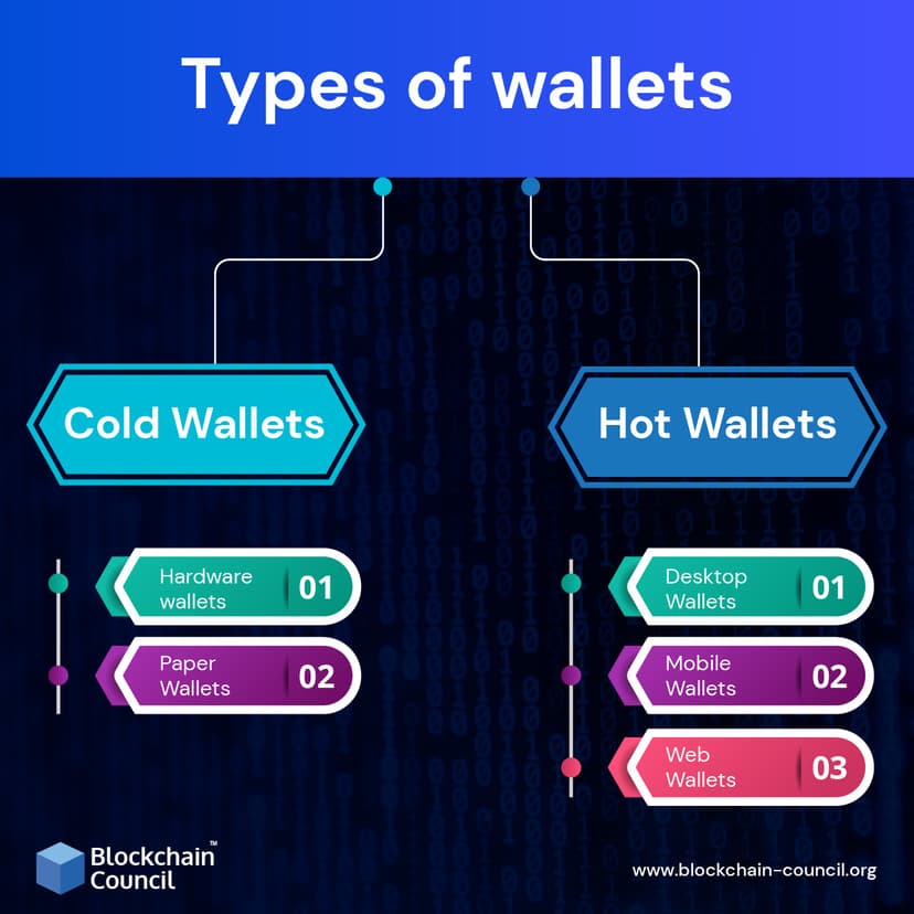 Types of Crypto Wallets | Bitcoin Wallets
