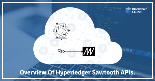 Overview Of Hyperledger Sawtooth APIs | Blockchain Council