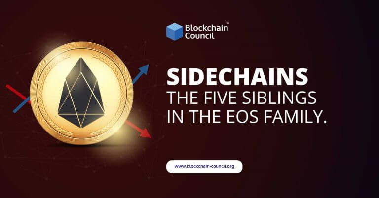 SideChains: The Five Siblings in the EOS Family | Blockchain Council