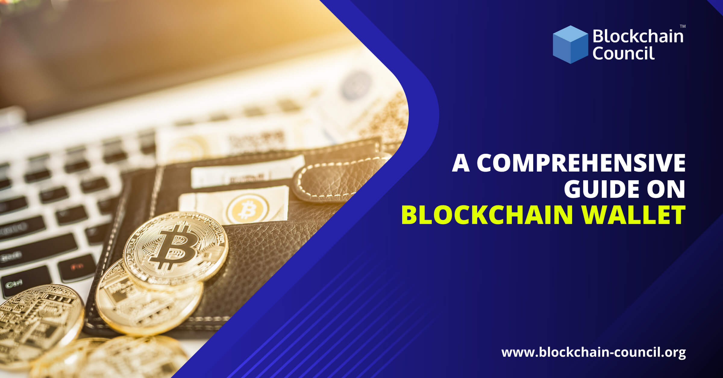 A Comprehensive Guide on Blockchain Wallet – Damian Kassab A Comprehensive Guide on Blockchain Wallet – Damian Kassab