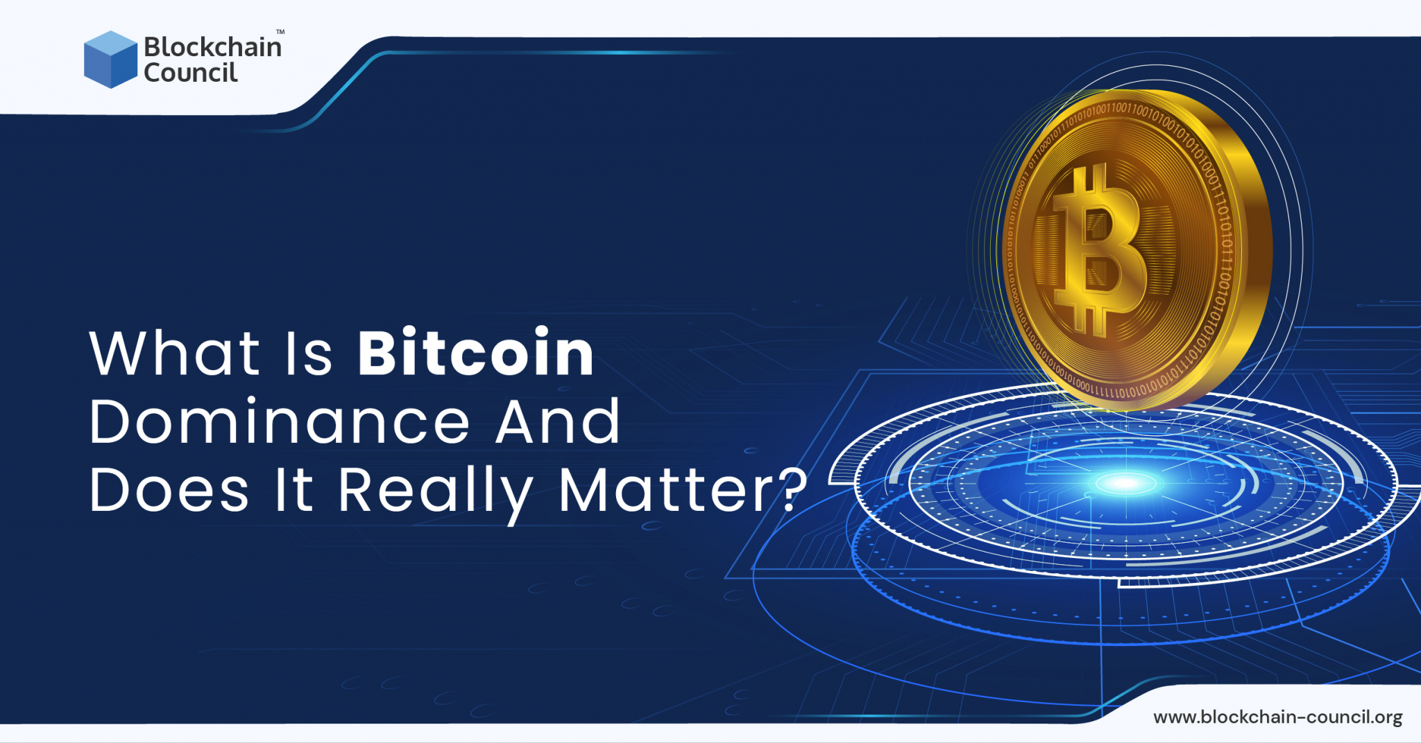 Stablecoins: What They Are, Where to Store, and the Main Risks ...