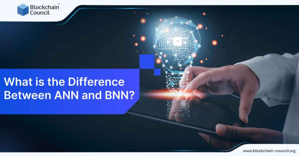 What is the Difference Between ANN and BNN? - Blockchain Council