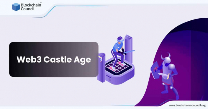 Web3 Castle Age - Blockchain Council